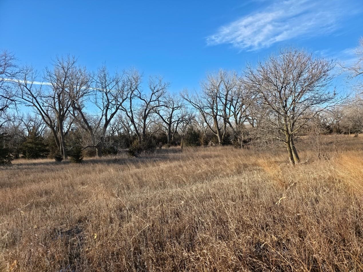 Land for Sale - - - - Price $244,900